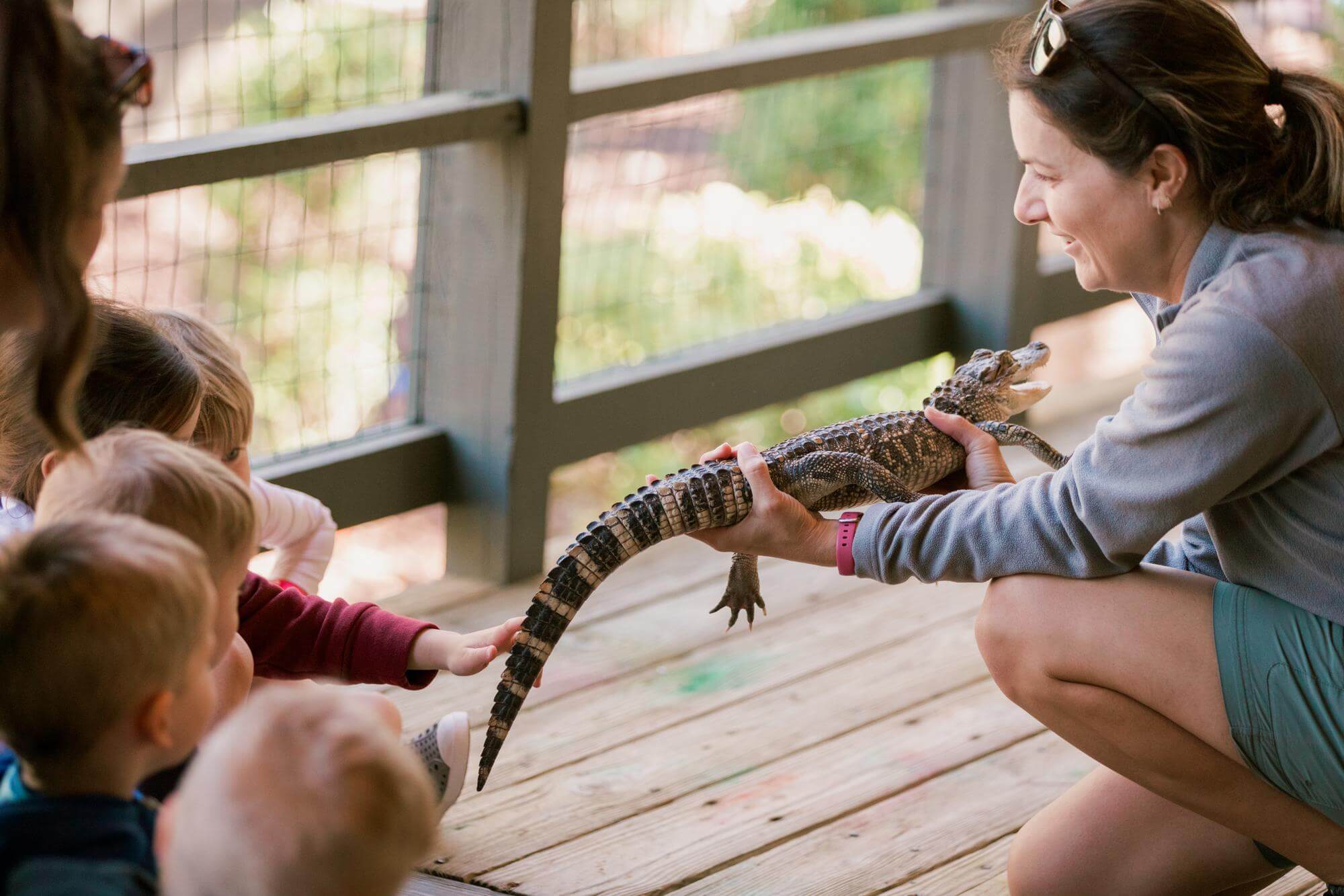Kiawah Island Golf Resort - Nature Center at the Treehouse
